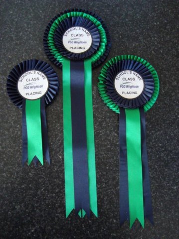 Placegetter Rosettes