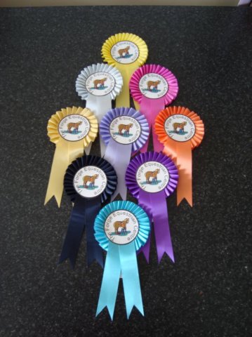 Placegetter Rosettes