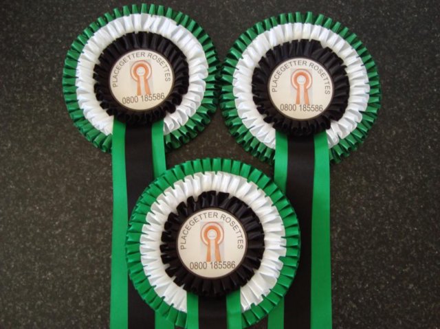 Placegetter Rosettes