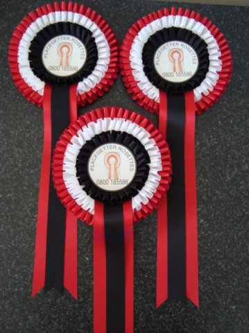 Placegetter Rosettes